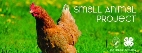 Small Animal Project – Extension Outagamie County